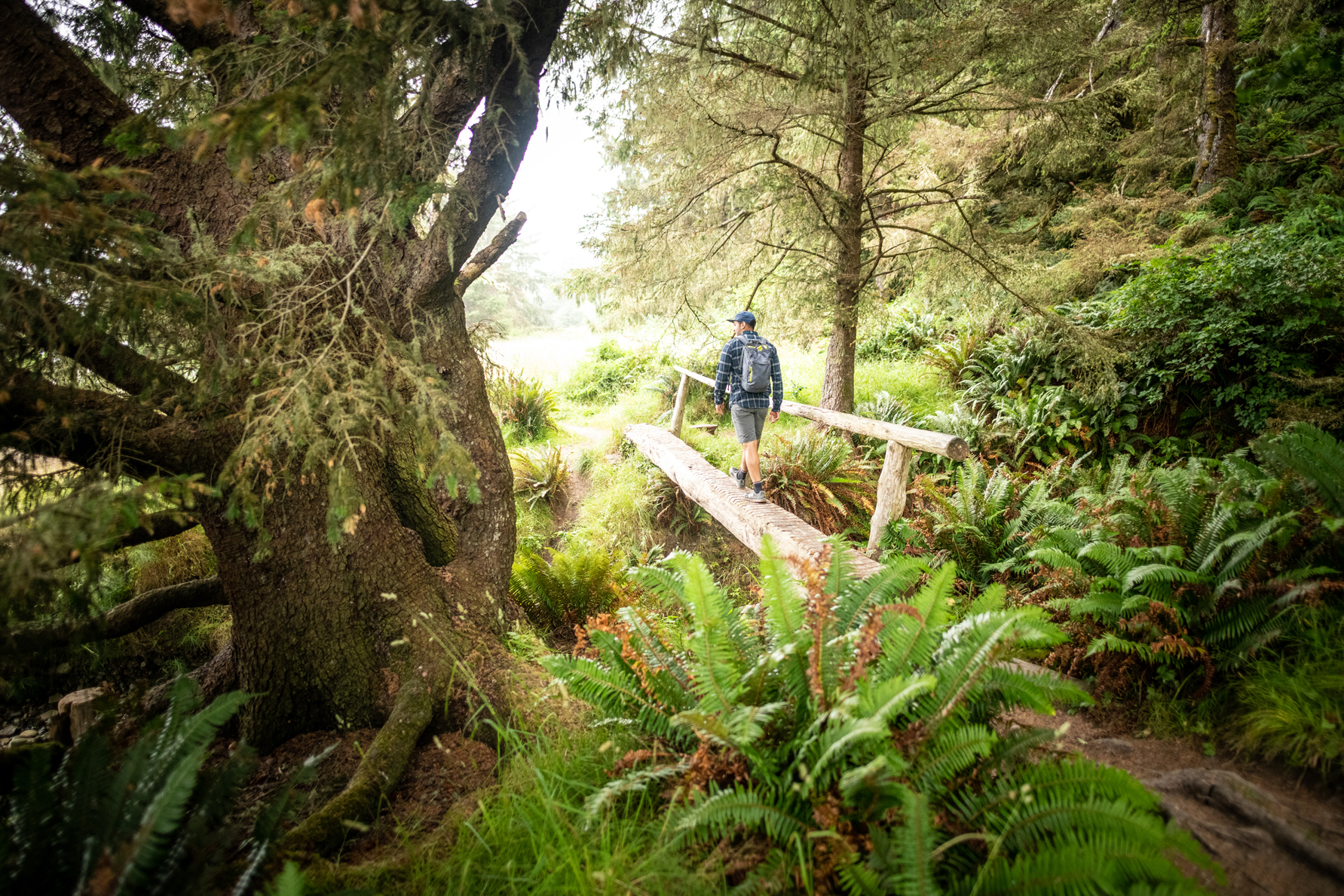 Evergreen Escapes - Best Guides & Tours From Seattle & Portland