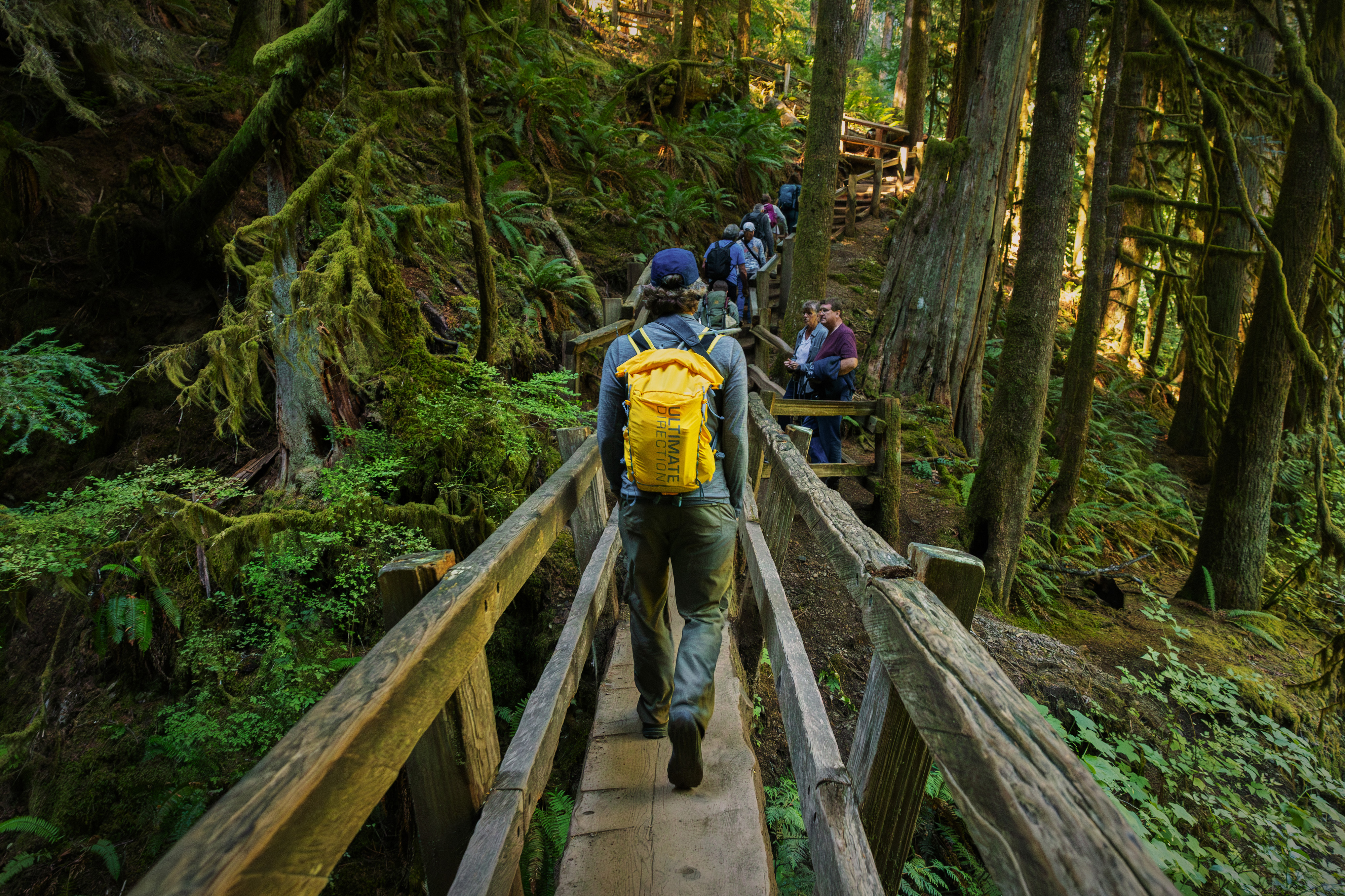 Evergreen Escapes - Best Guides & Tours From Seattle & Portland